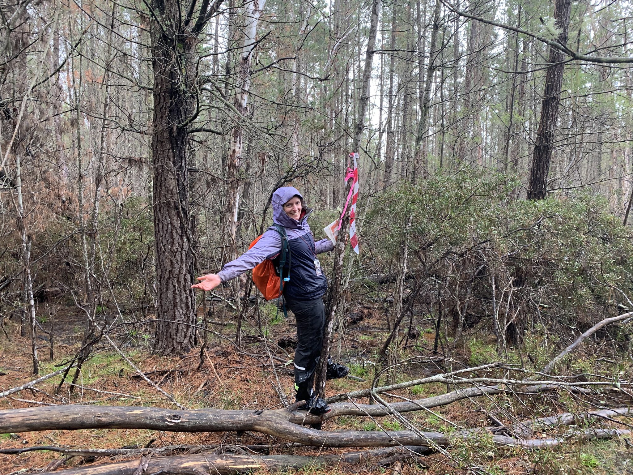 Beyond the first rogaine: how does one learn to love the sport? - NSW ...